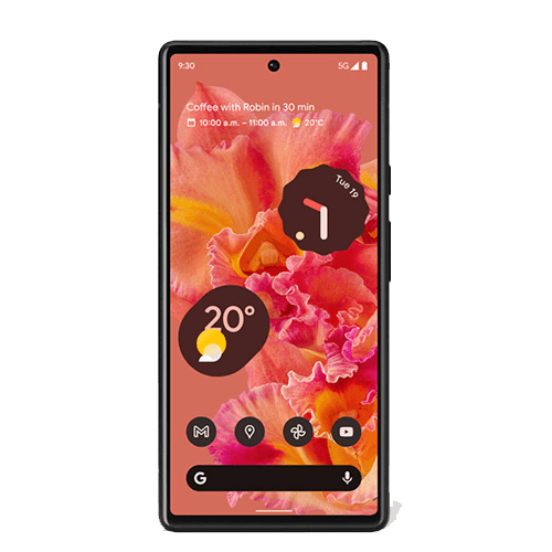 Pixel 6 Skins & Wraps - WrapitSkin